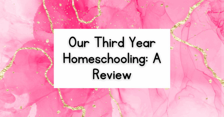 Our Third Year Homeschooling: A Review - In Our Homeschool